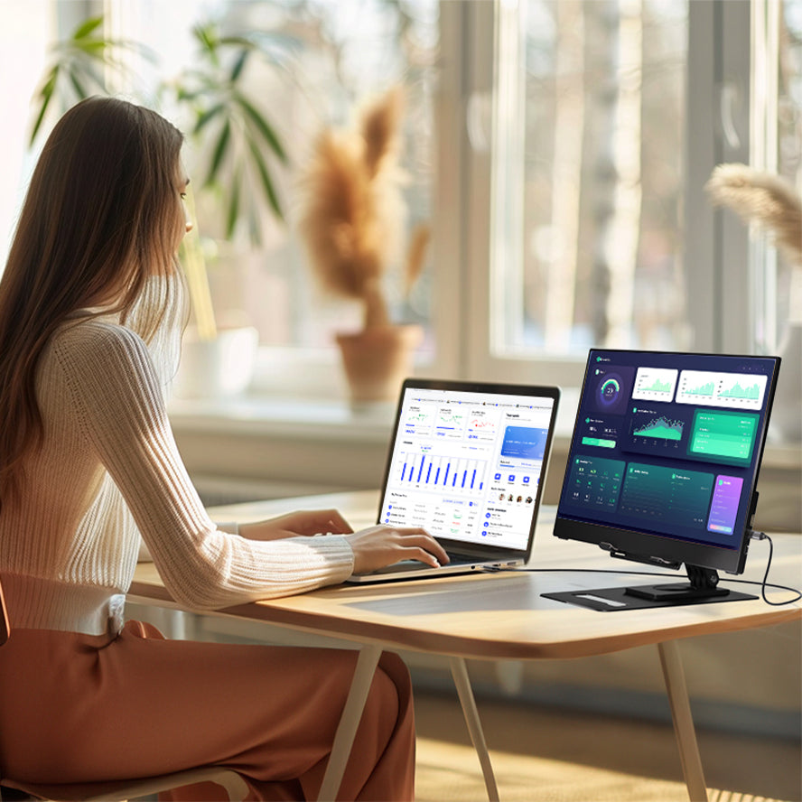 Ingnok Folding Dual Computer Monitor